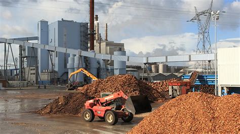Biomass To Energy Solutions For High Efficient And Sustainable Power