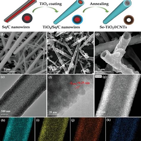 A Scheme For The Synthesis Of Se‐tio2cnts B Sem Image Of Se‐c