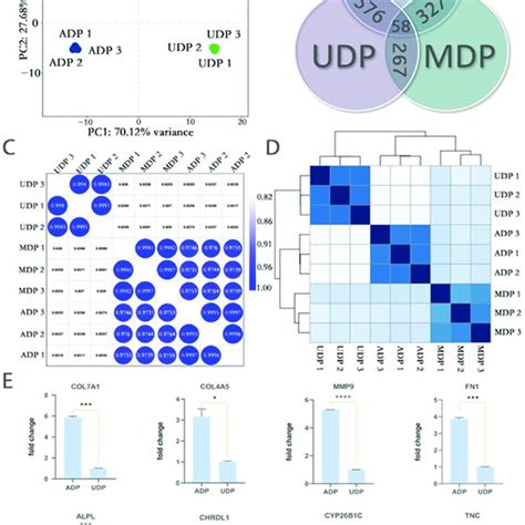 A General View Of Gene Expression Pattern And Rt Pcr Verification On Download Scientific