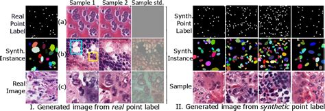 Figure 1 From Microscopy Image Segmentation Via Point And Shape Regularized Data Synthesis
