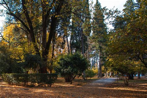 წინანდლის მამული თიბისის ზეიმის მასპინძელი