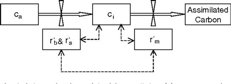 Normalization Image Processing Semantic Scholar Normalization Image Processing Semantic Scholar