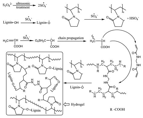 Polymers Free Full Text Lignin Based Hydrogels Synthesis And Applications
