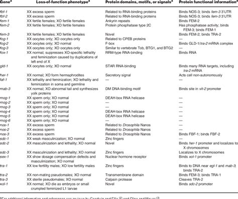 Genes And Proteins That Regulate Sexual Fate In C Elegans Download Scientific Diagram