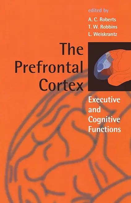 The Impact Of Trauma On The Prefrontal Cortex Understanding Its Effects And Implications Medshun
