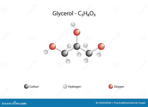Molecular Formula And Chemical Structure Of Glycerol Vector Illustration