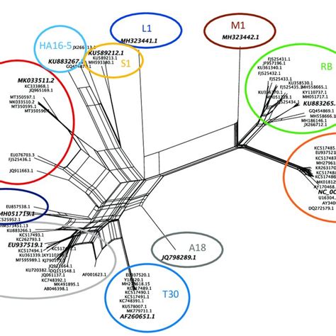 Genome Coverage Obtained Per Genotype After Read Mapping The Real