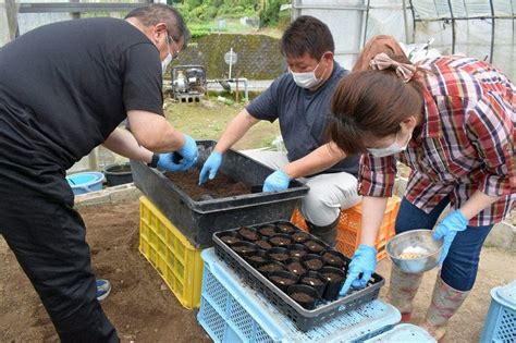 福島県産カボチャ「いいたて雪っ娘」 東峰村で種植え作業 「棚田まもり隊」今季も挑戦 ／福岡 毎日新聞