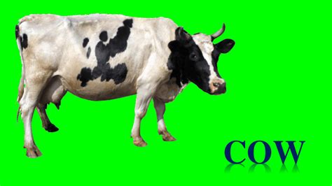 Презентація Тварини На фермі