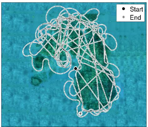 Path Of The Robot Taken During One Simulation Run Of 4000 Iterations