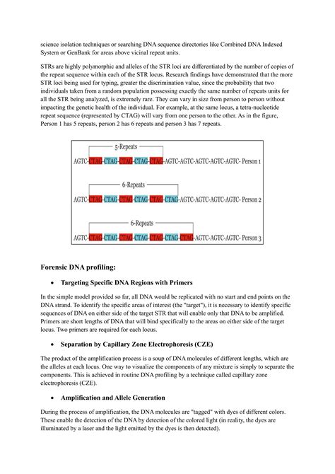 Dna Profiling And Str Typing In Forensics From Molecular Techniques To