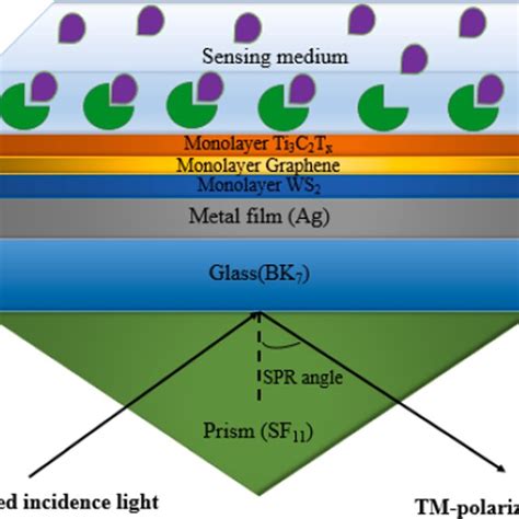 Schematic Diagram Of The Proposed Spr Biosensor Download Scientific