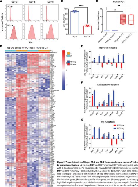Figure 2 From Regulation Of Human And Mouse Bystander T Cell Activation