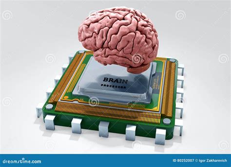 Human Brain With Computer Processor Royalty Free Illustration 80252007