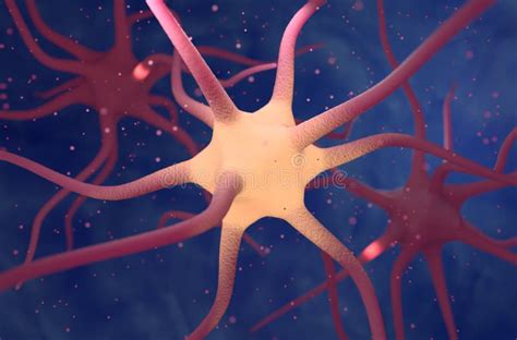 Neuron Cells 3d Illustration Isometric View Stock Illustration Illustration Of Dopamine