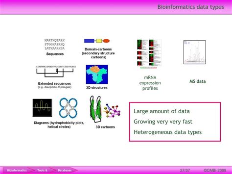Ppt The Cmbi Bioinformatics Powerpoint Presentation Free Download