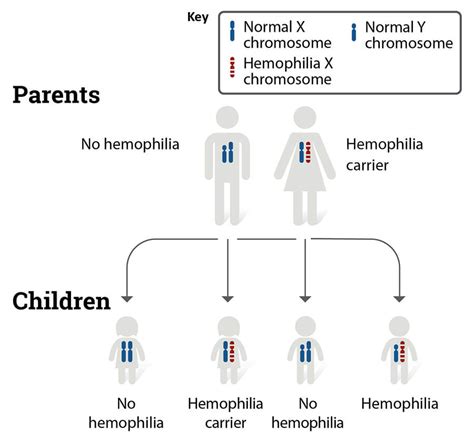 Types Of Bleeding Disorders In Pregnancy At Karen Medina Blog