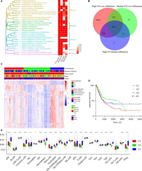 Cluster And Functional Analyses Of DEGs A Common Enriched Pathways Download Scientific
