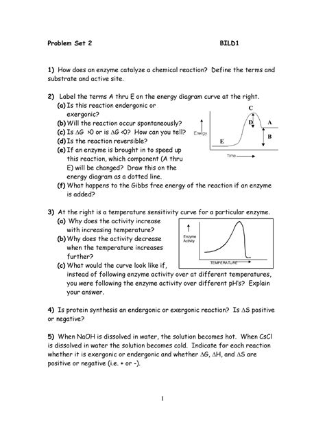 problem set 2 homework problem set 2 bild how does an enzyme catalyze a chemical reaction