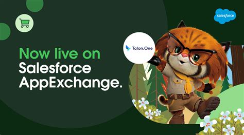 Loyalty And Promo App For Salesforce Commerce Cloud Talon One