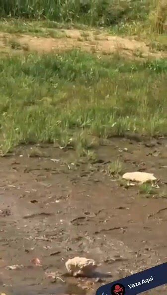 Having Sex In An Abandoned Lot Amateur Couple Caught Having Sex In An