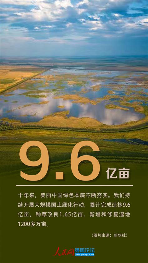 造林96亿亩！十年来美丽中国绿色本底不断夯实农科新闻网