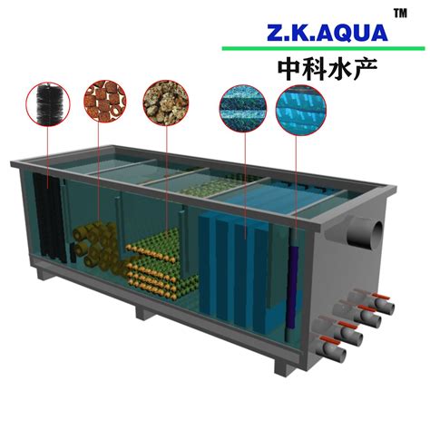 Bio Filter Chamber Biological Filtration Biofilter Ras Aquaculture