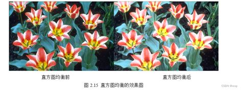 新一代视频压缩编码标准 H264avc Csdn博客 新一代视频压缩编码标准 H264avc Csdn博客