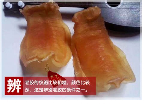 台山赤鱼图片 卓鱼的图片 赤鱼图片 大山谷图库