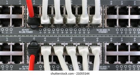 Cables Patch Panel Network Switch Stock Photo Shutterstock