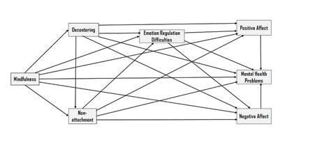 Dispositional Mindfulness And Mental Health Exploring The Interplay Of