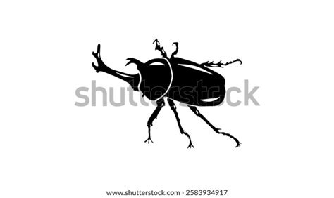 16 Rhinoceros Beetle Anatomy Stock Vectors And Vector Art Shutterstock