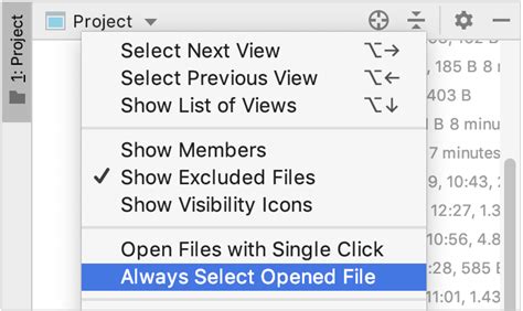 Project Tool Window Clion Documentation Project Tool Window Clion Documentation