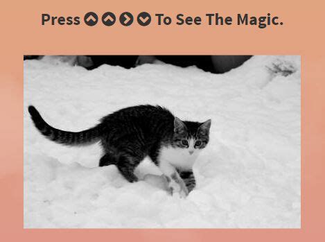 Jquery Plugin To Enable Custom Cheat Codes On Webpage Cheat Code Js
