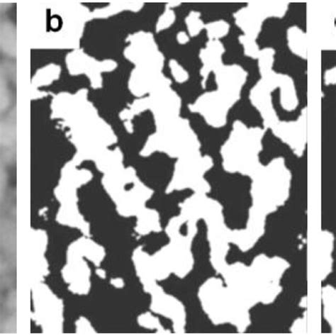 A Representative Sem Image Section From A Fib Cut Surface Before A Download Scientific