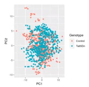 Cómo aplicar PCA al dataset de proteínas KeepCoding