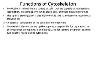 Lecture 3 B Cytoplasm And Inclusion Pdf