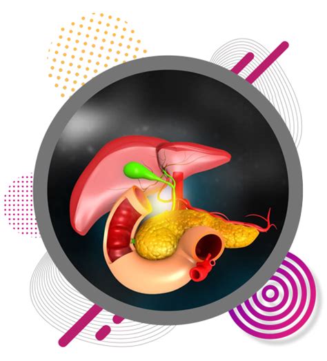 Bile Duct Cysts And Cancer Care Chennai Gastrologist Chennai