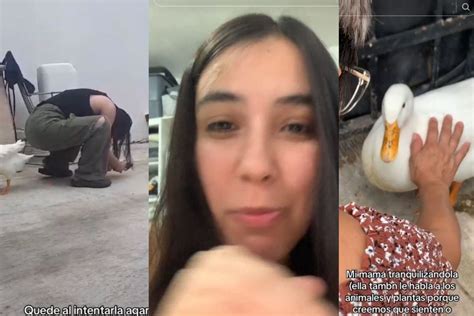 “gansito Y Yo No Somos Amigas Hoy” Mujer Cuenta Por Qué Su Pato Ya No La Quiere