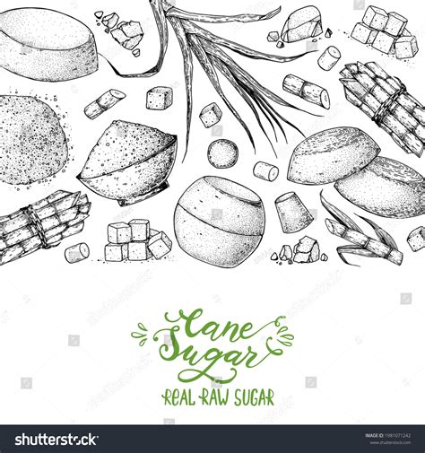 Panela Sugar Sketch Hand Drawn Vector Shutterstock