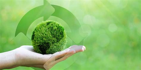 ¿qué Es Un Sistema De Gestión Medioambiental Sinergias Empresariales