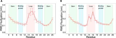 Root Mean Square Rms Fluctuation Of Residues In A Apo Rna And B