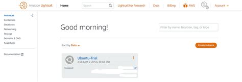 I Already Stop Lightsail Service But Aws Issued The Bills Aws Repost