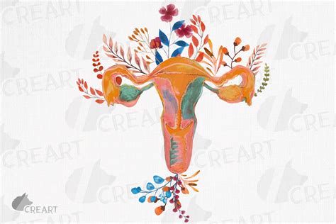 Reproductive System Clipart