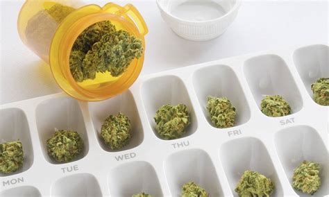 Define Dose Escalation And Tolerance Miel Wellness Dispensary