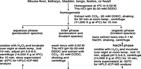 Extraction Method For Trivalent And Pentavalent Arsenicals Of Wt Mice Download Scientific