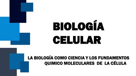 Método Científico Enma Jhoselyn Udocz