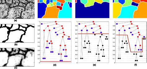 Figure 1 From An Efficient Conditional Random Field Approach For Automatic And Interactive