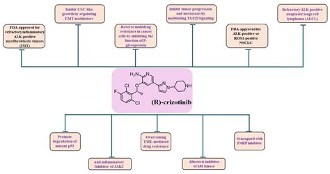 Overcoming Chemoresistance In Cancer The Promise Of Crizotinib
