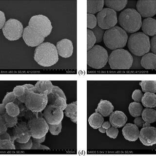 SEM Images Of The Samples A Fe3O4 B Fe3O4 SiO2 C Download Scientific Diagram